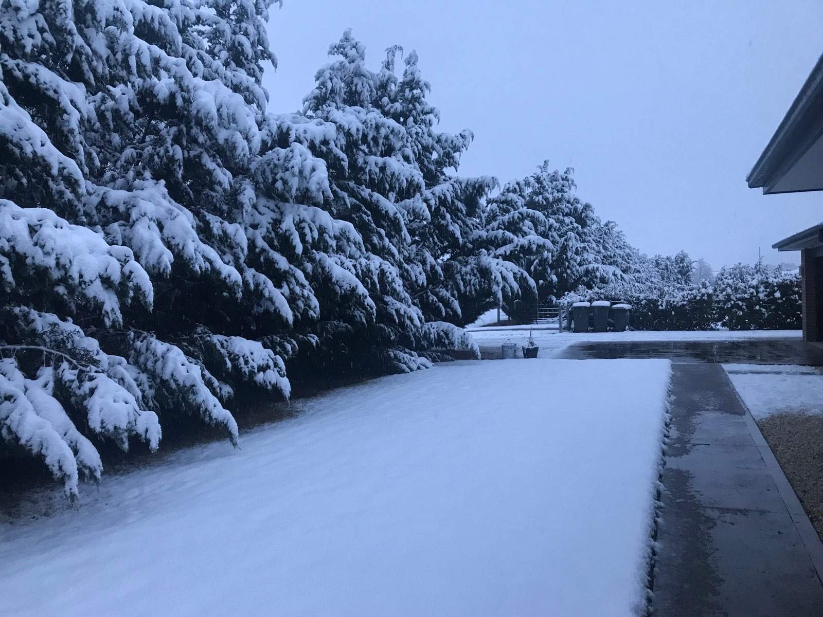 NSW wild weather brings surprise snow to Goulburn and Blue Mountains ...