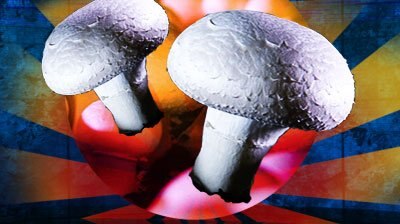UV Mushrooms - Behind The News