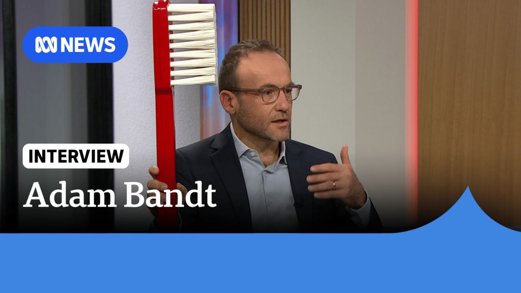 Greens Leader Adam Bandt says getting dental into Medicare a 'priority ...