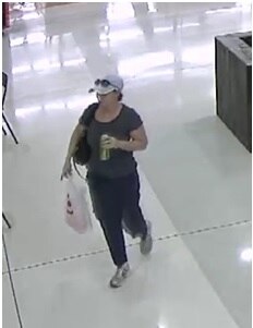 Police renew appeal to help find missing Sydney mother Katherine ...