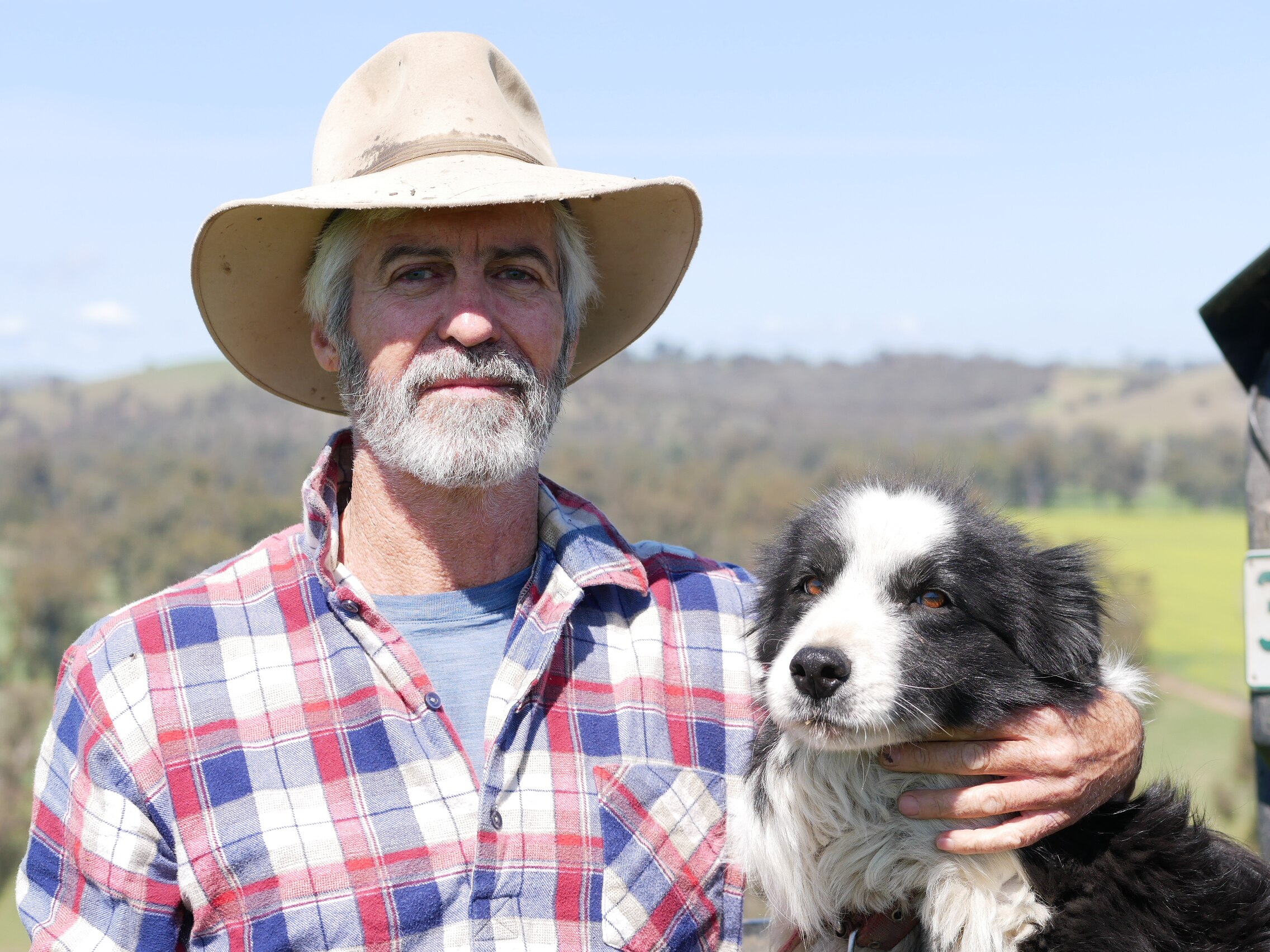 Private abattoir with enhanced animal welfare plan for Riverina draws ...