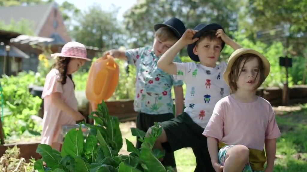 Sustainability and Nature - ABC Kids