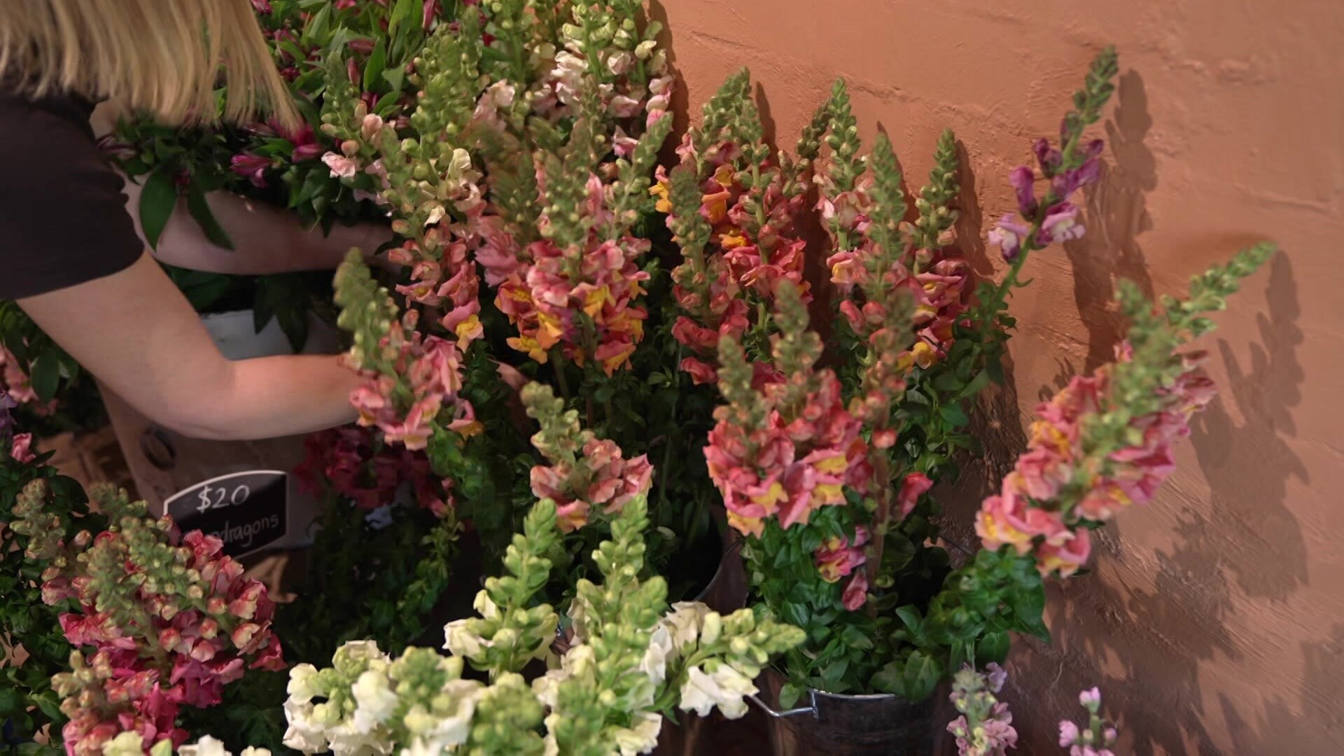 Promoting Australian grown cut flowers in a market dominated by imports ...