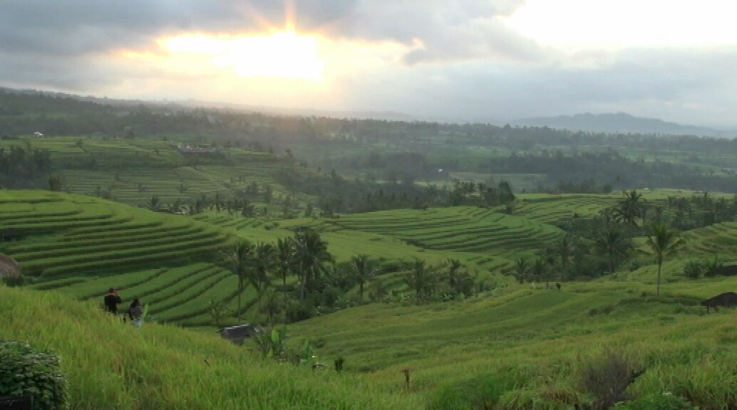 World heritage listing for Bali's 'Subak' tradition - ABC News