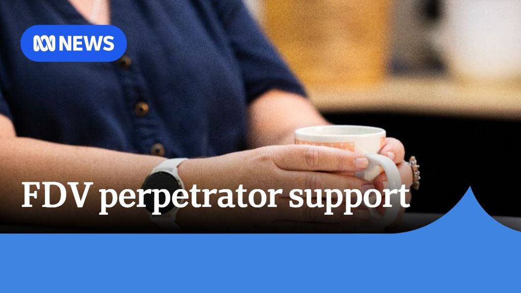 Calls for more support for domestic violence perpetrators - ABC News