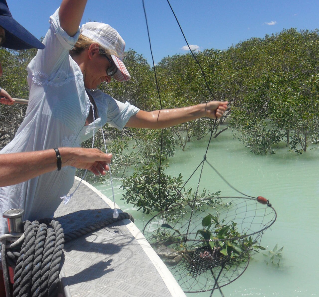 Mud crabbing in the Kimberley - ABC News