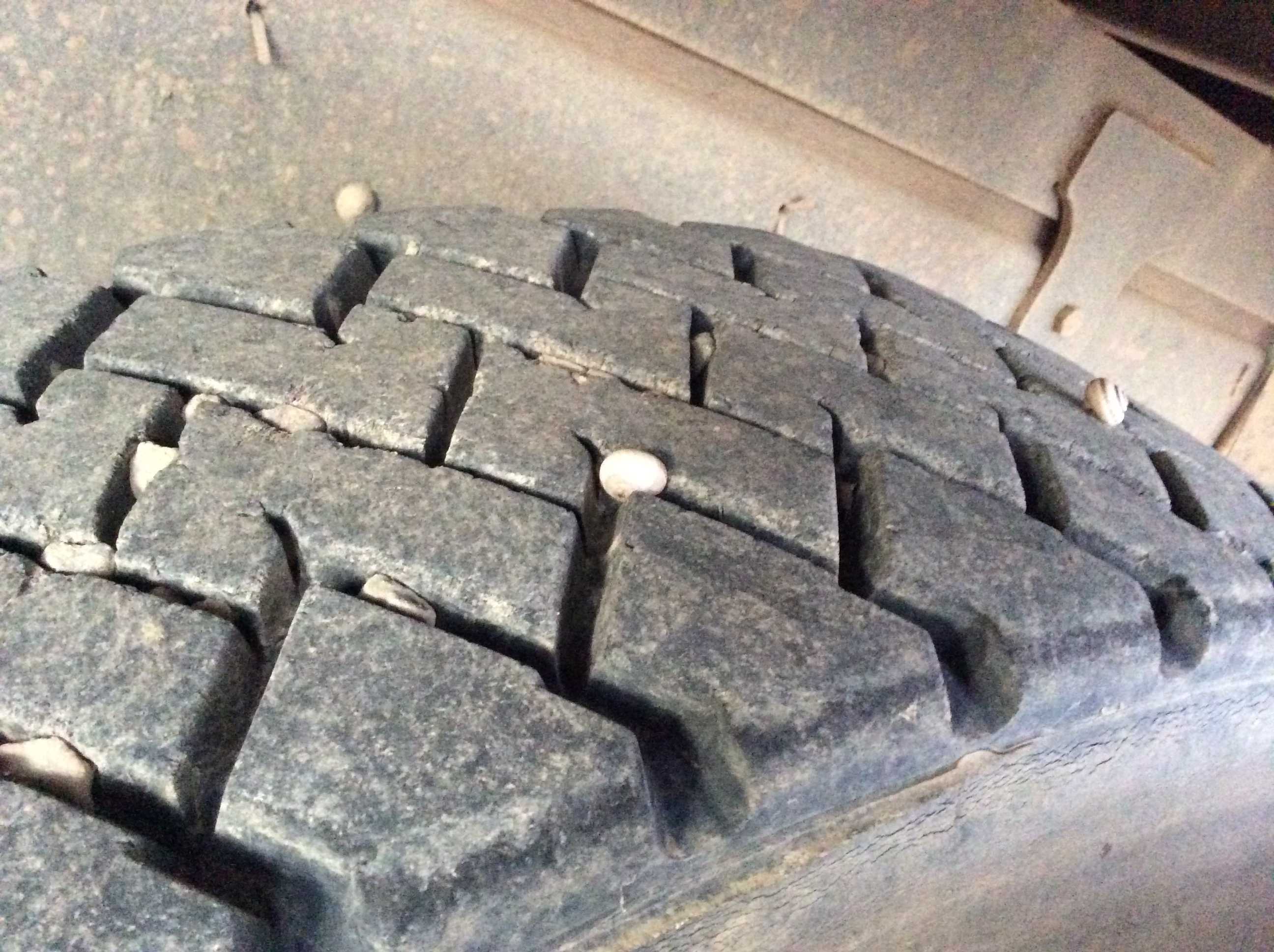 Snail outbreak becomes grilled escargot as fire services burn back ...