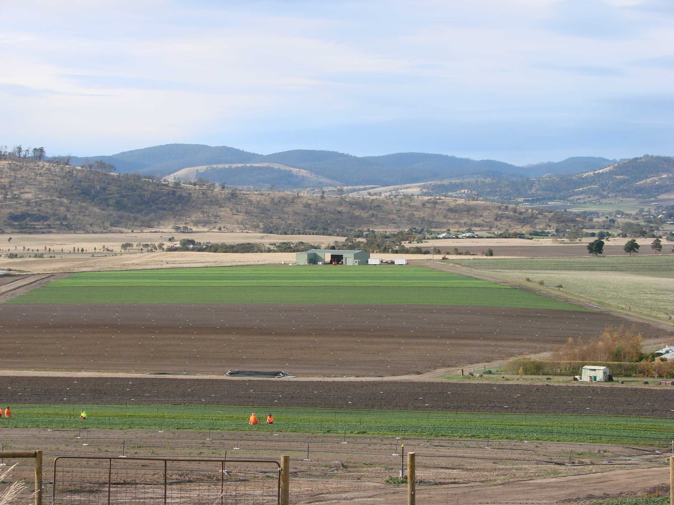 Food producer One Harvest puts salad in the mix - ABC News