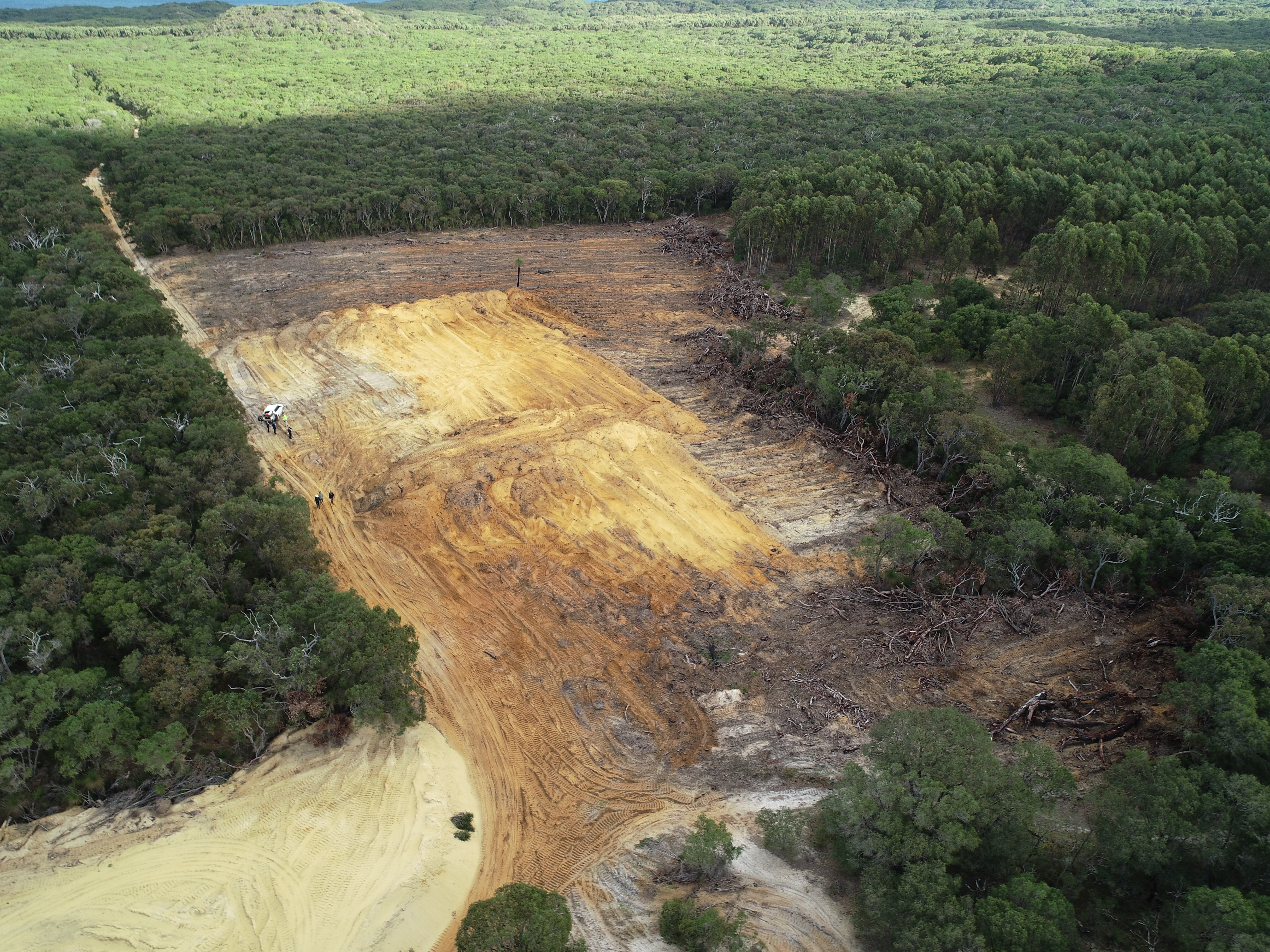 Plantation company fined for clearing of nine stadiums' worth of WA ...