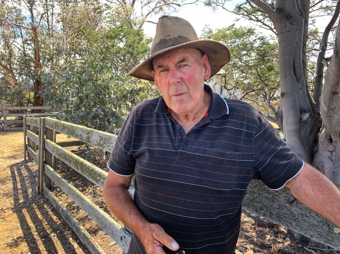 Man who died after snakebite in Tasmania found with serpent 'tangled ...