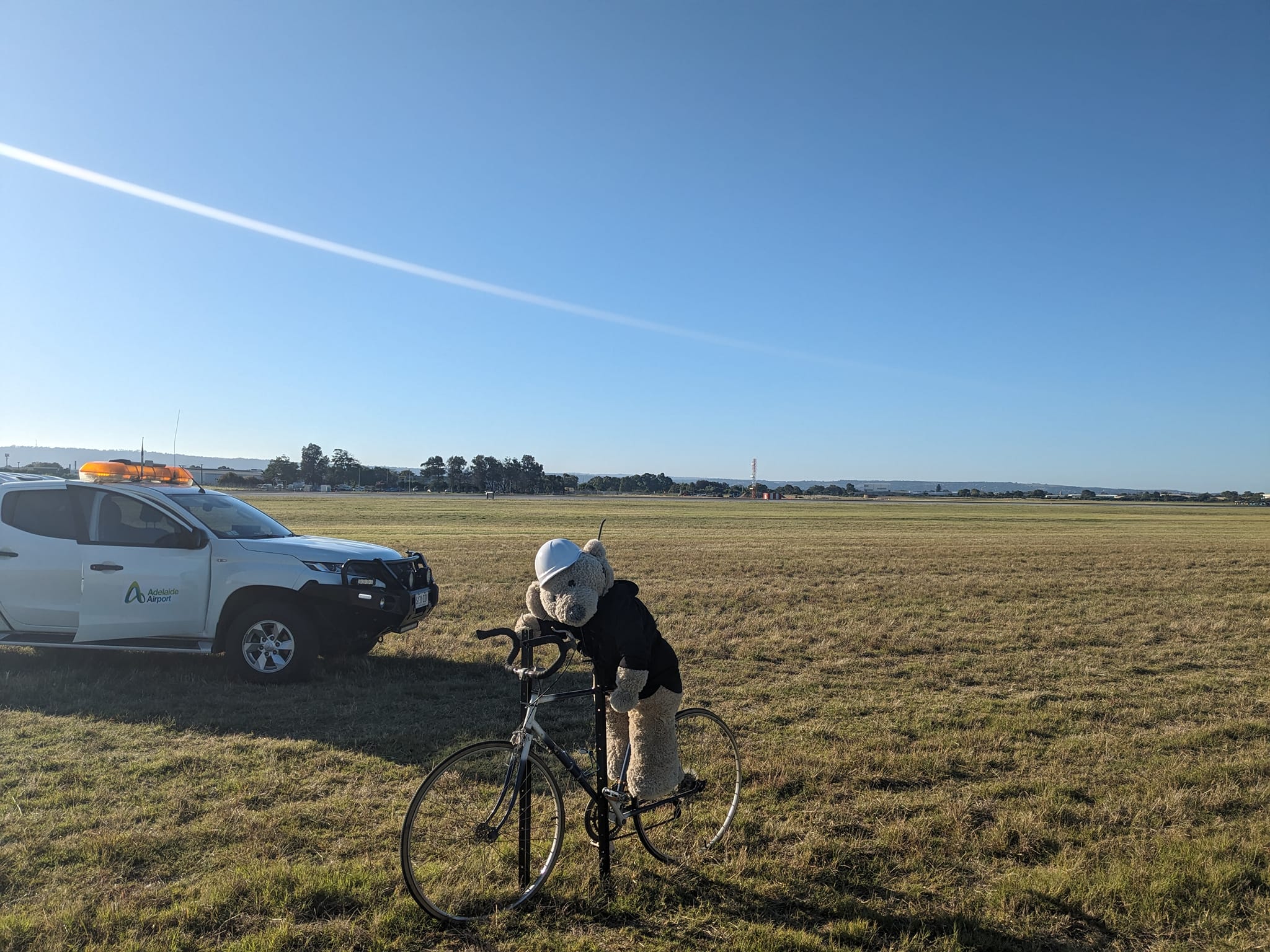 Buck the Bear back on the bike at Adelaide Airport - ABC listen