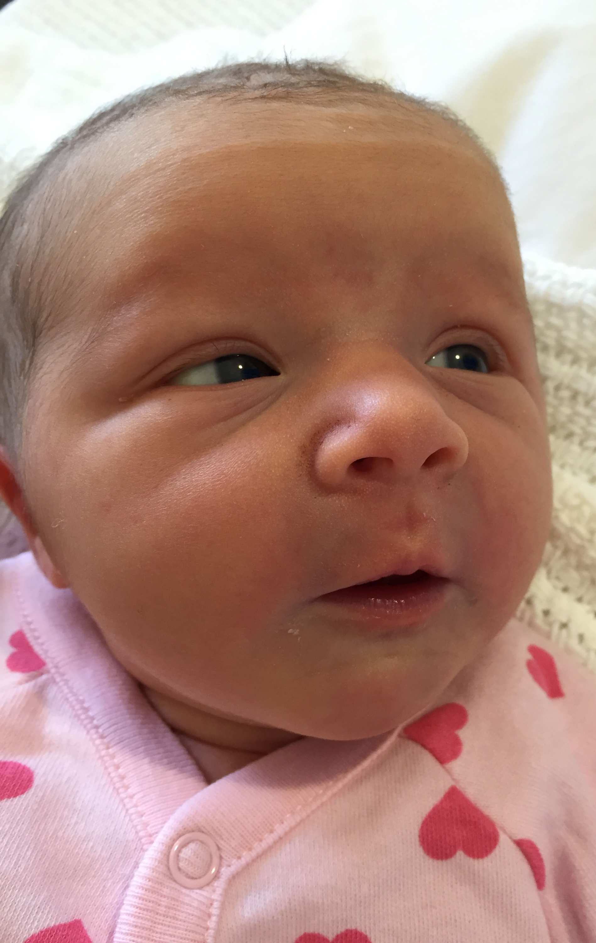 MH17: Maslin family who lost three children in crash welcome baby girl ...