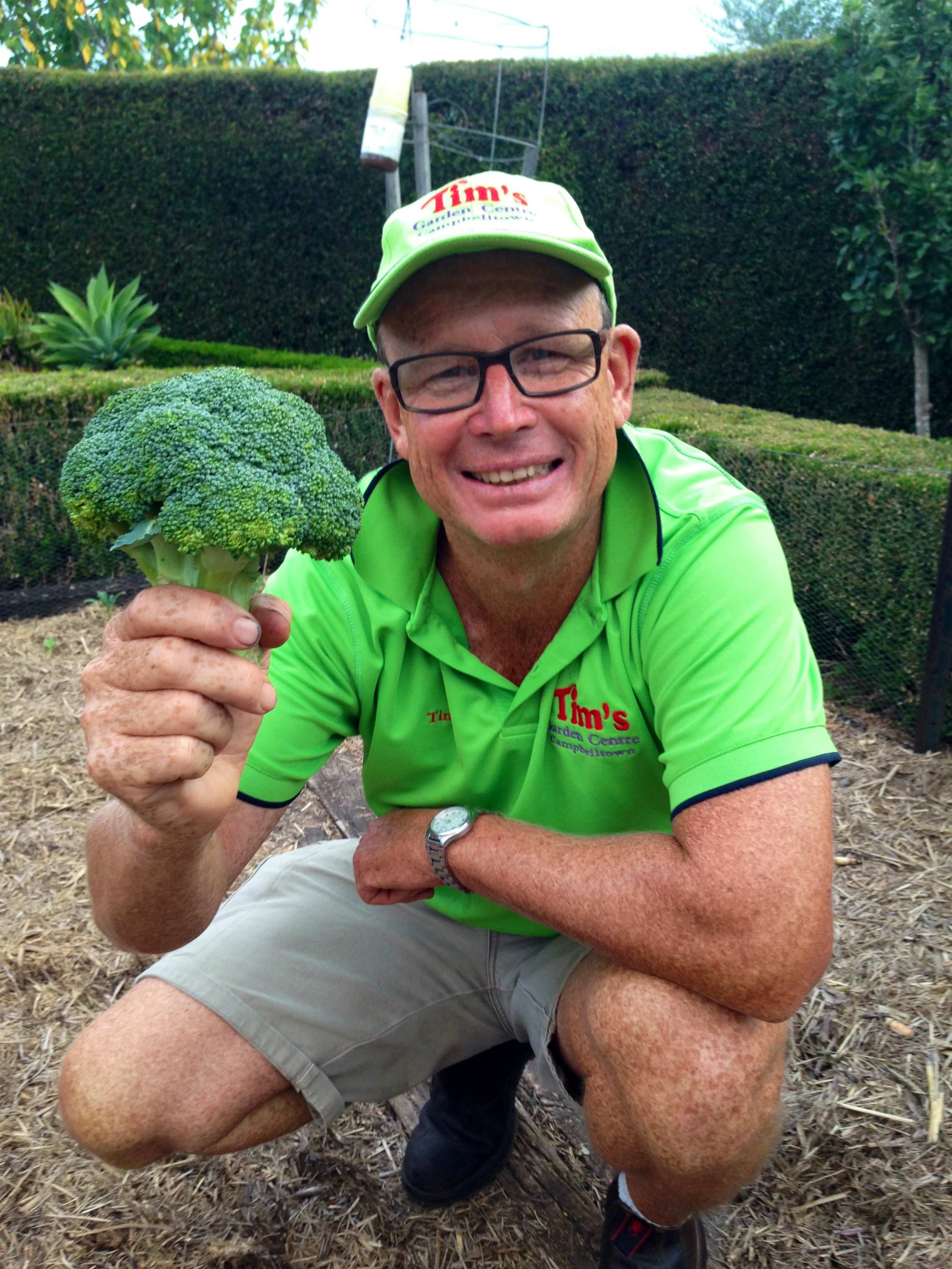 Alice Matthews - ABC News