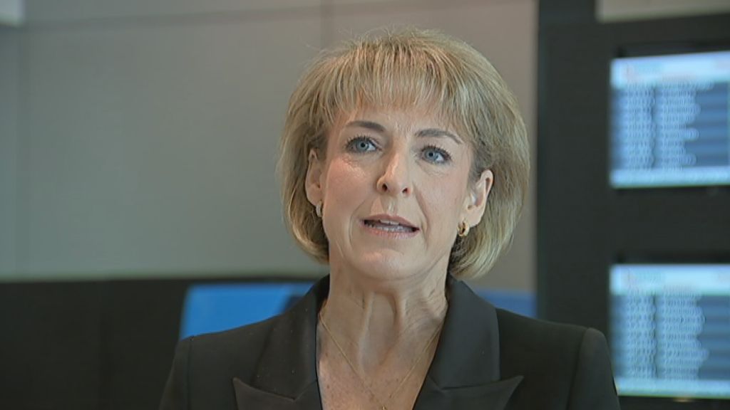 Senator Michaelia Cash on job creation - ABC News