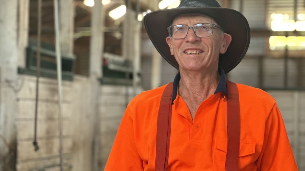 Former shearer Robin Rogers now makes a living dealing with what's ...