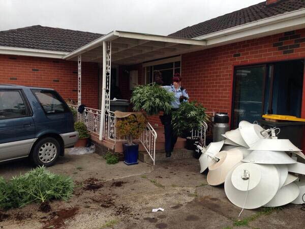 Three charged over large hydroponic cannabis bust at St Albans - ABC News