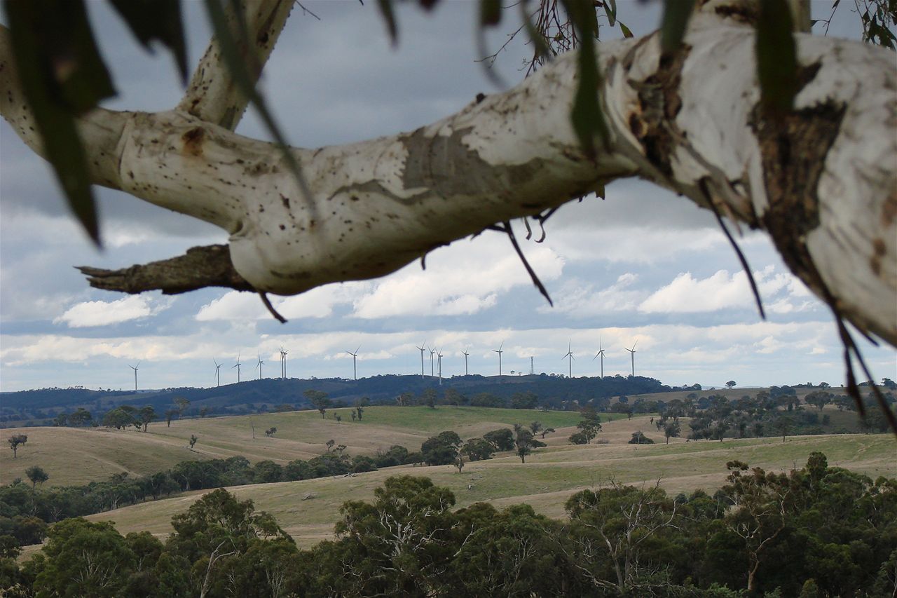 CSIRO finds renewable energy to be the cheapest option for electricity ...