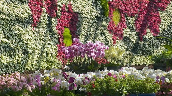 Flower Power - Gardening Australia