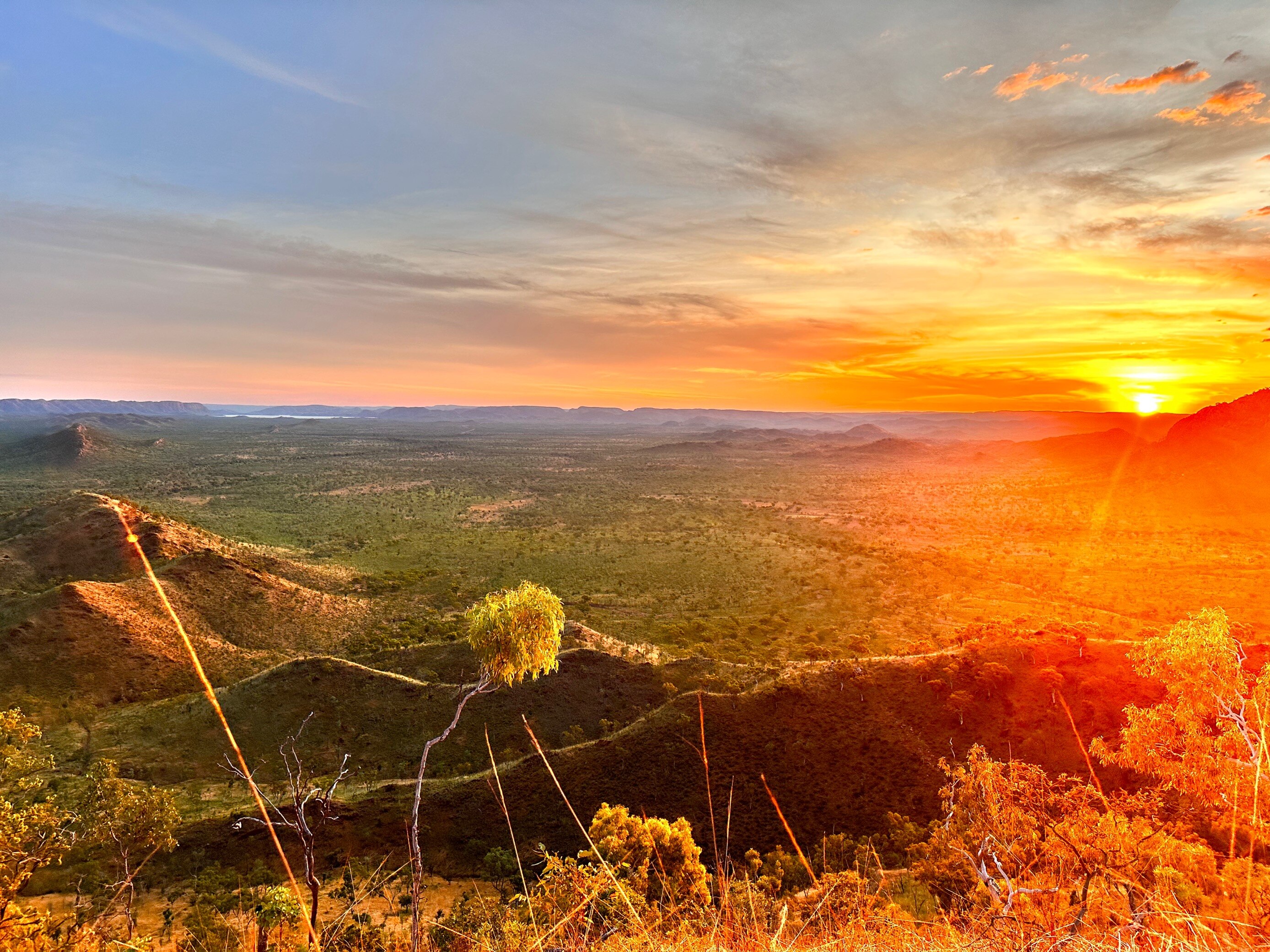 Daniel Mercer - ABC News