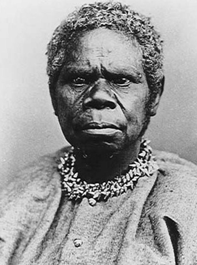 Study unravels Tasmania's historic languages - ABC News