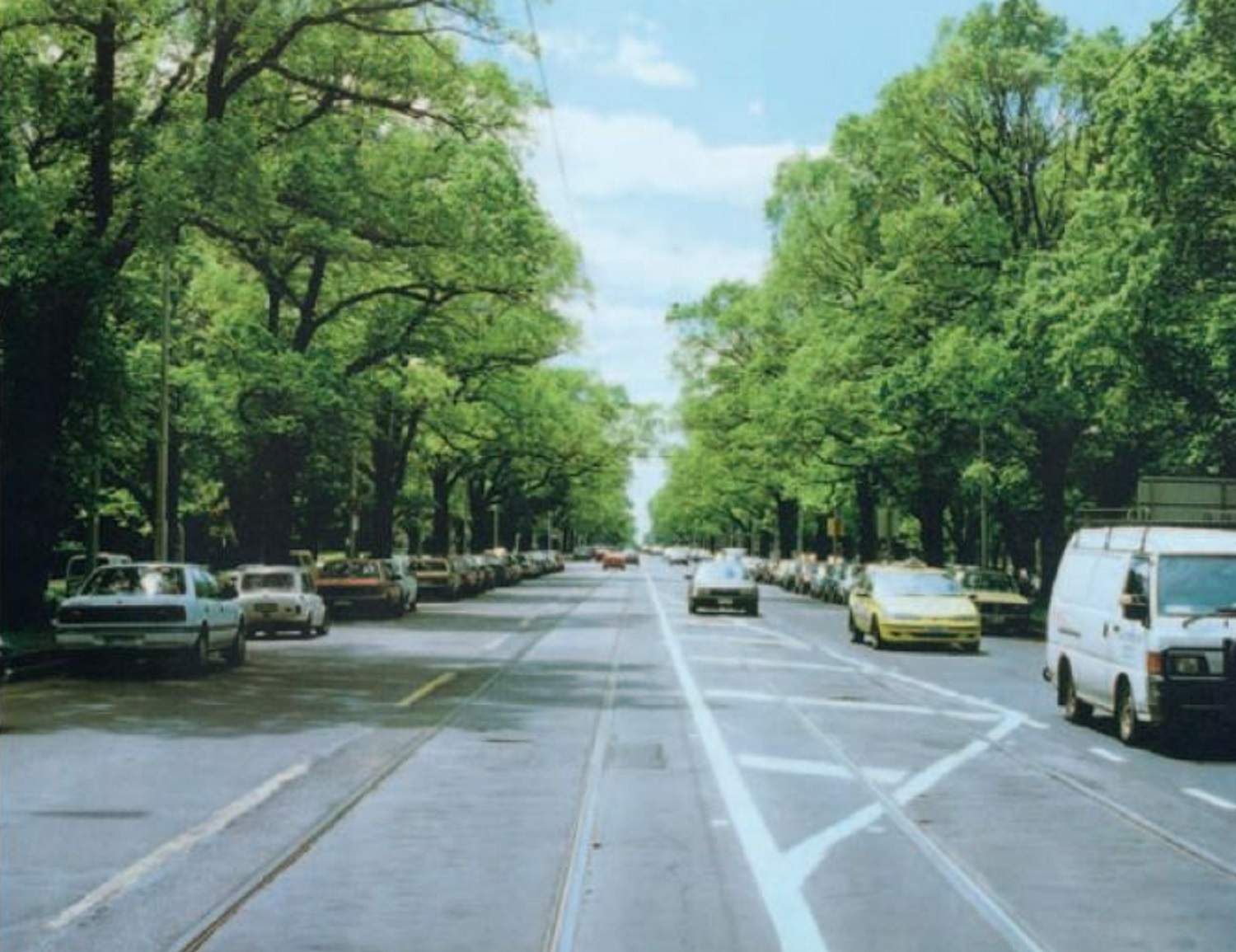 Princes Park falling tree victim Allison Milner remembered as 'humble ...