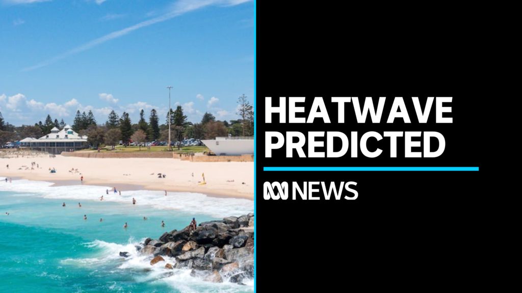 A mission to make tourism inclusive and accessible - ABC News