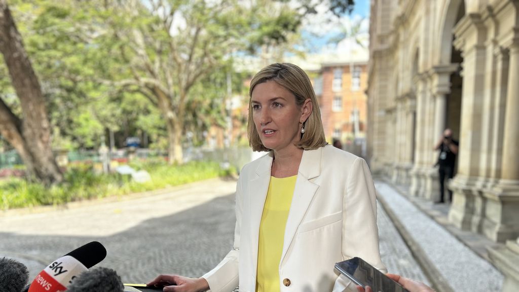 Health Minister Shannon Fentiman says she is best-placed to be the ...