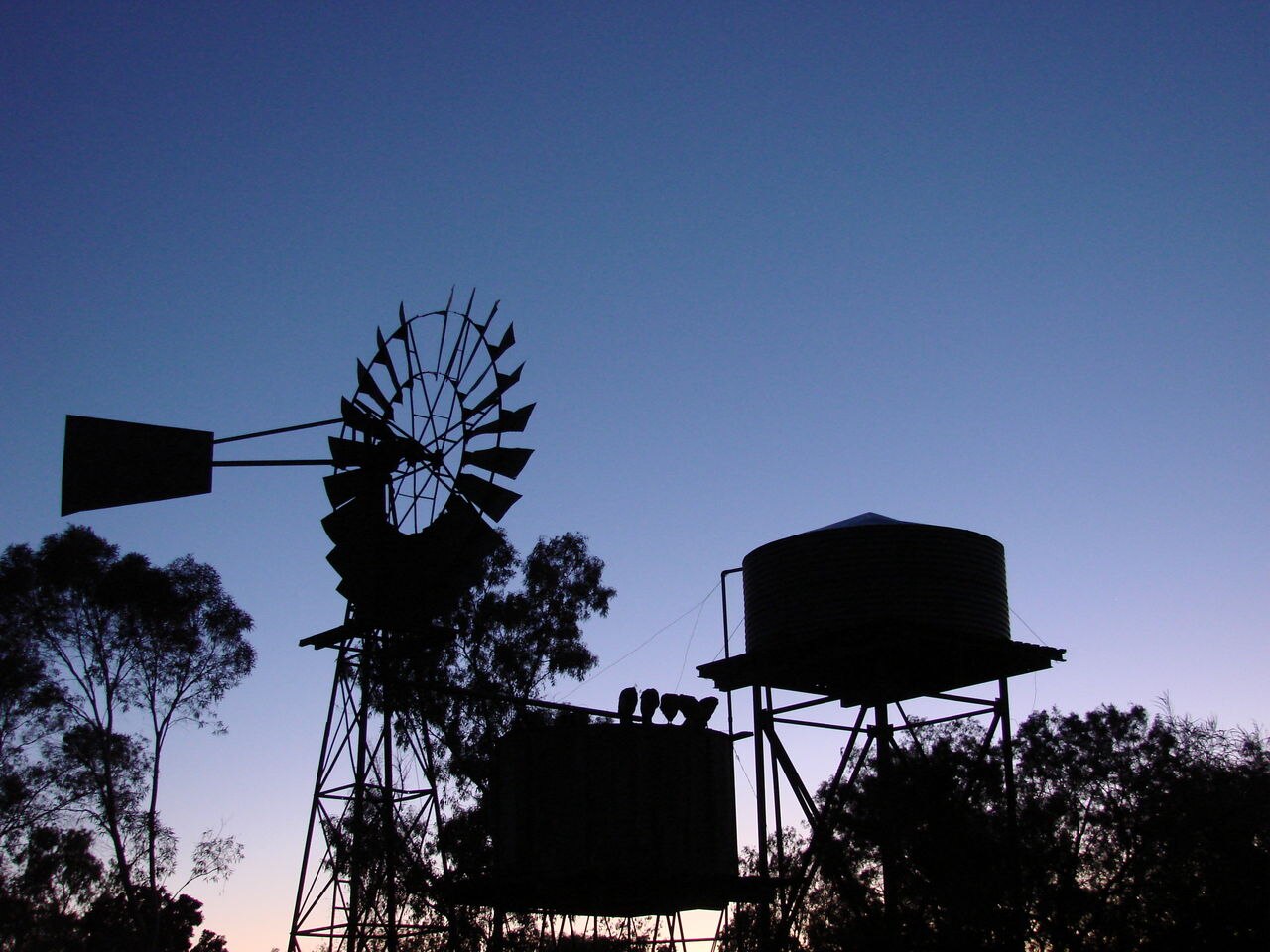 NT Country Hour in Ti-Tree - ABC News