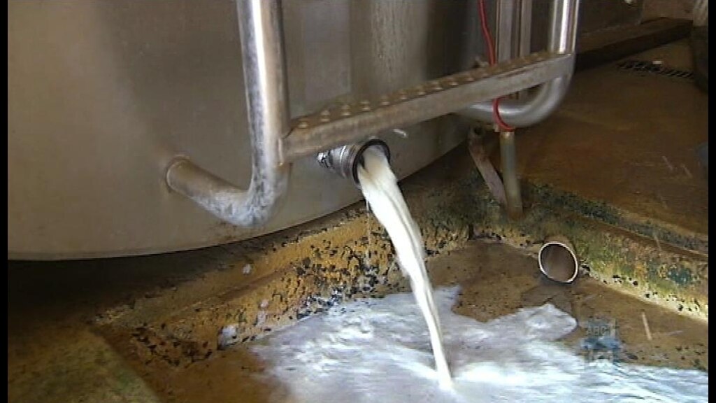 Claire Krol - ABC News