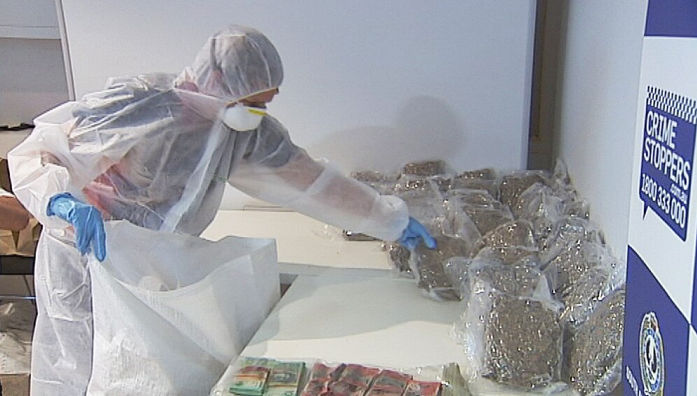 Police bust alleged drug trafficking ring - ABC News