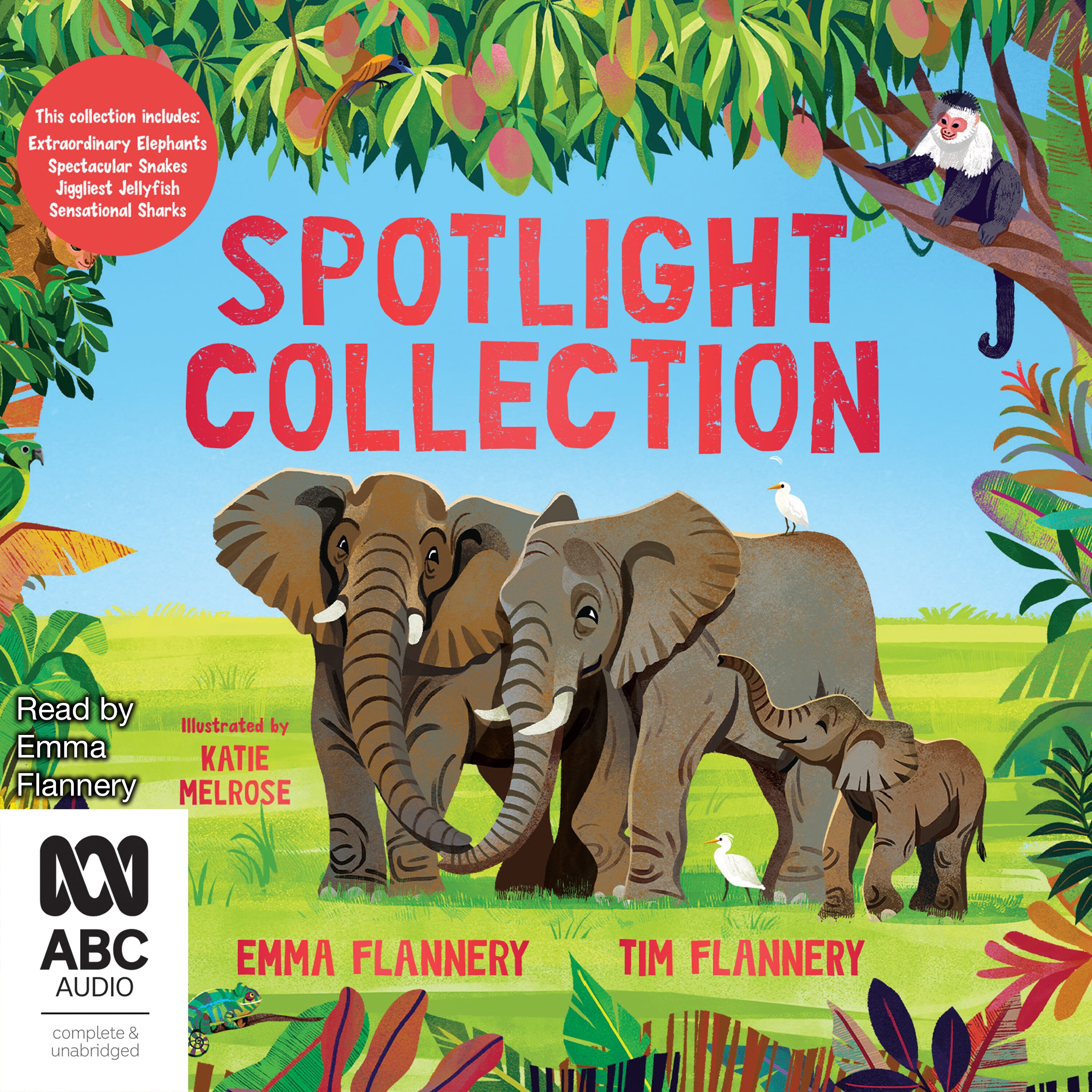 Audiobooks - ABC Shop
