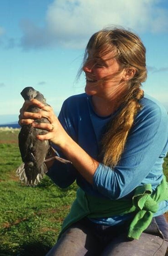 Ancient clonal tree, King's lomatia, excites scientists in Tasmania's ...