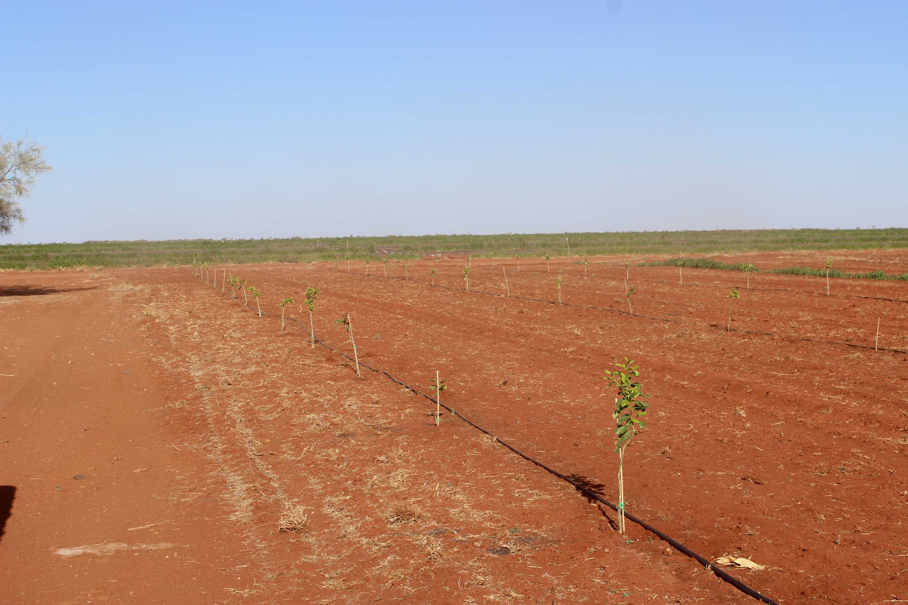 Licence granted to extract 54,000 megalitres of water from a Northern ...