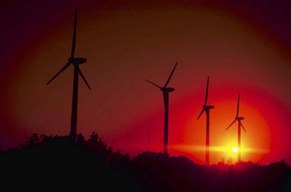 Wind farms linked to temperature increase - ABC News