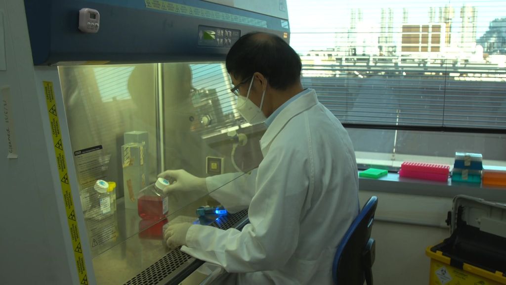 New discovery could help in fight against type 1 diabetes - ABC News