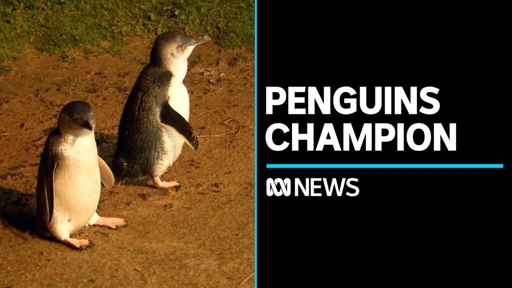 Rhyll - 3923 - Location - ABC News