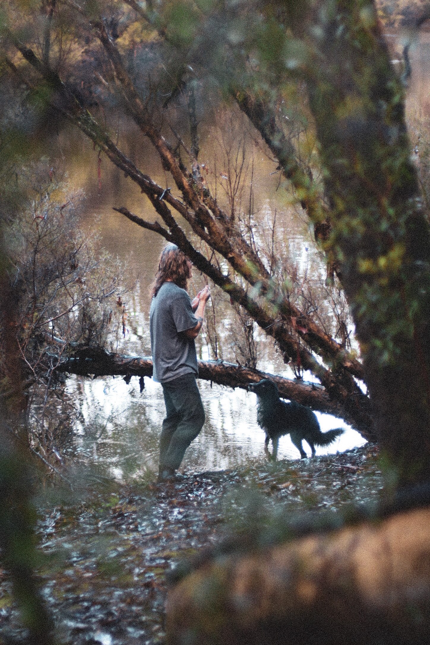 Our track of the Day from Platonic Sex, a First Play from Dawson and ...