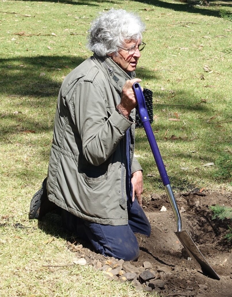 Trees that inspire - ABC Radio National