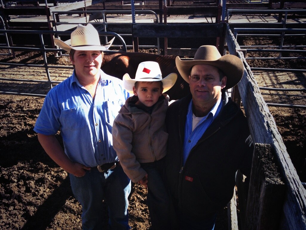 Top price paid for heifer as nostalgia rules - ABC News