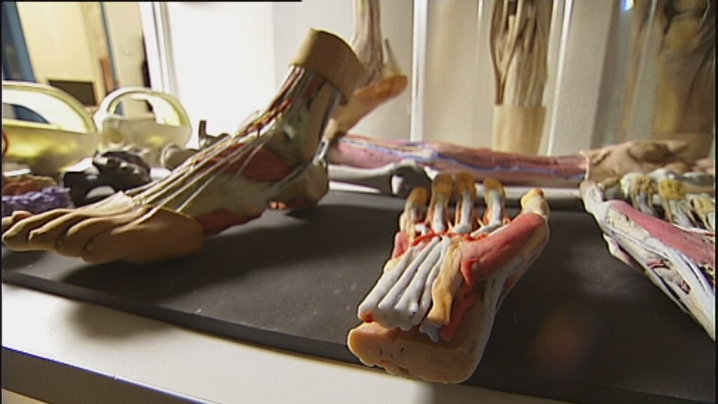 Melbourne-made 3D-printed body parts could replace cadavers for medical ...