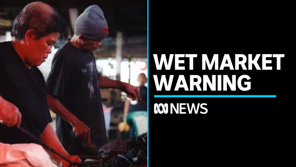 Calls for bats to be banned from Indonesian wet markets - ABC News