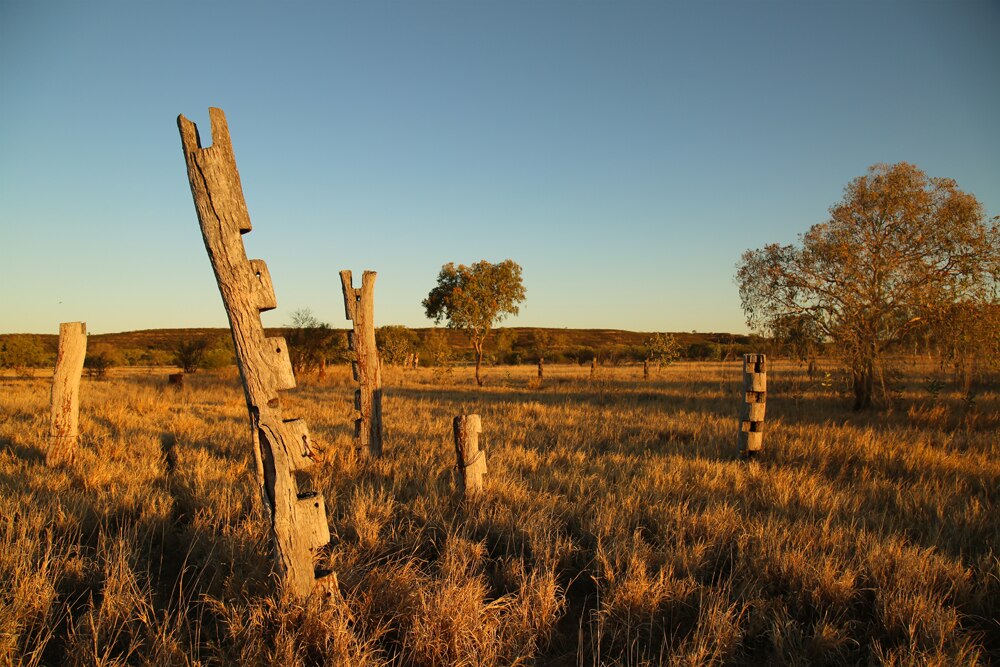 The legacy of Wave Hill - ABC listen