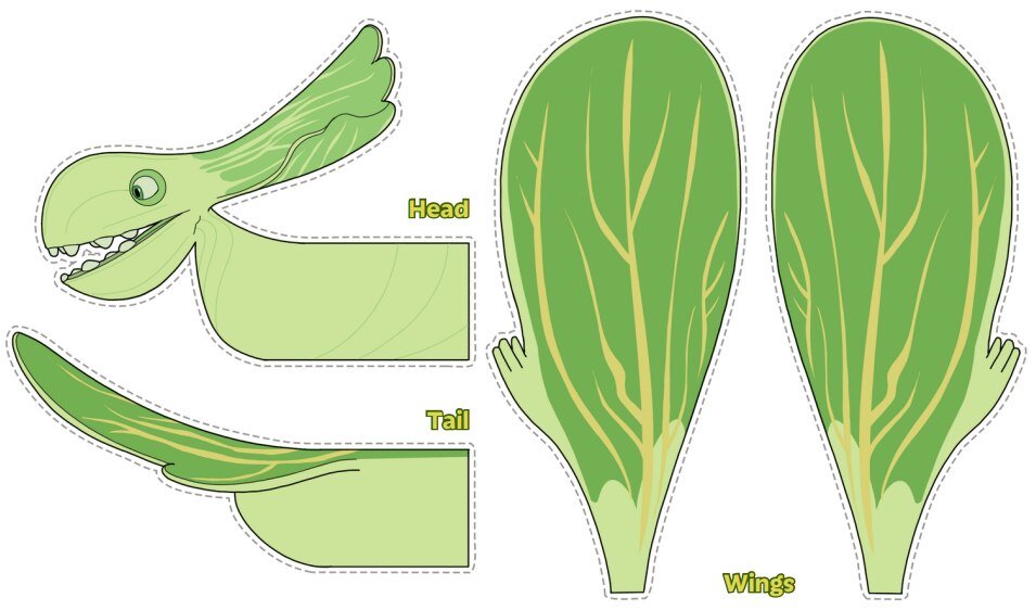 Ginger and the Vegesaurs Activities | Ginger and the Vegesaurs - ABC Kids