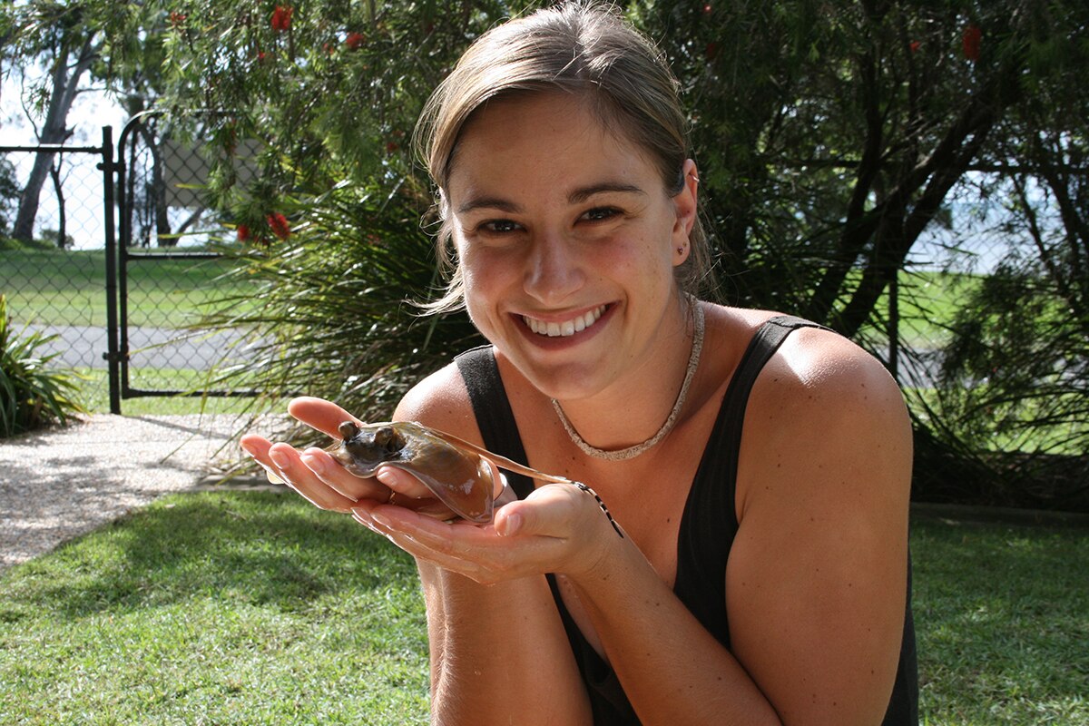 How to avoid shark attacks and what's the best way to fight one off ...