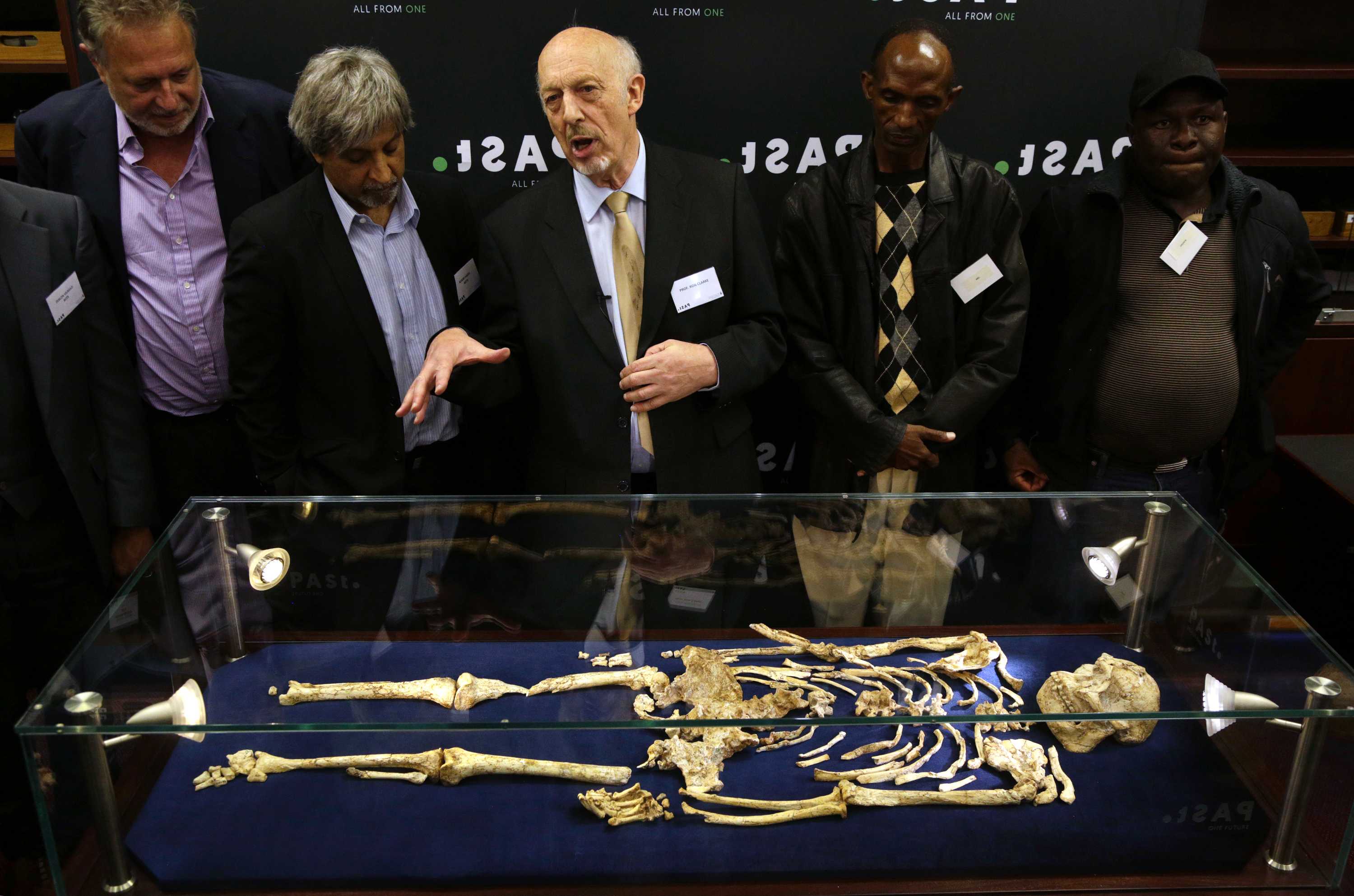 Little Foot: Skeleton of 3.6-million-year-old human ancestor unveiled ...