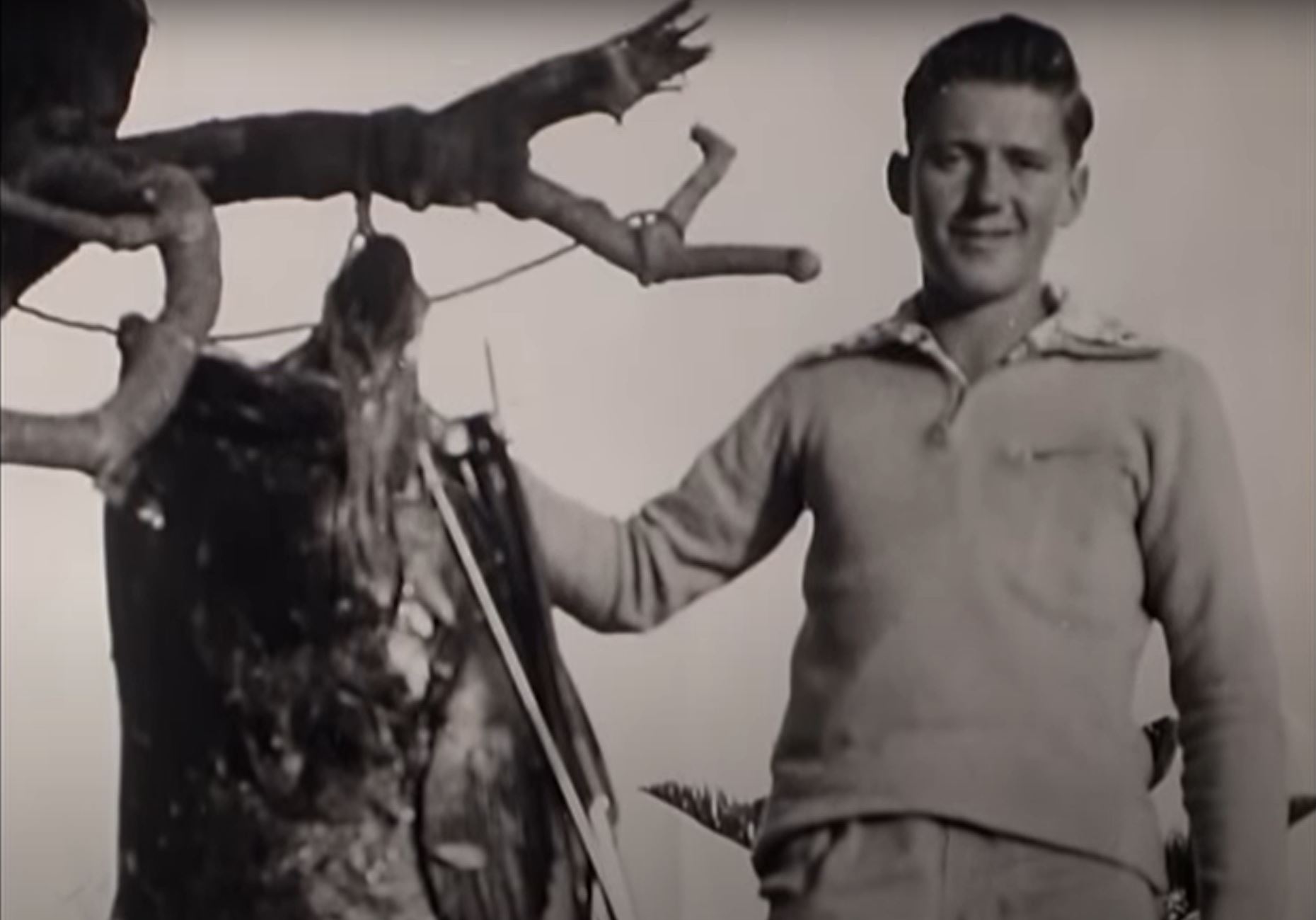 Ride on a 'monster' changed the life of underwater adventurer Ben Cropp ...