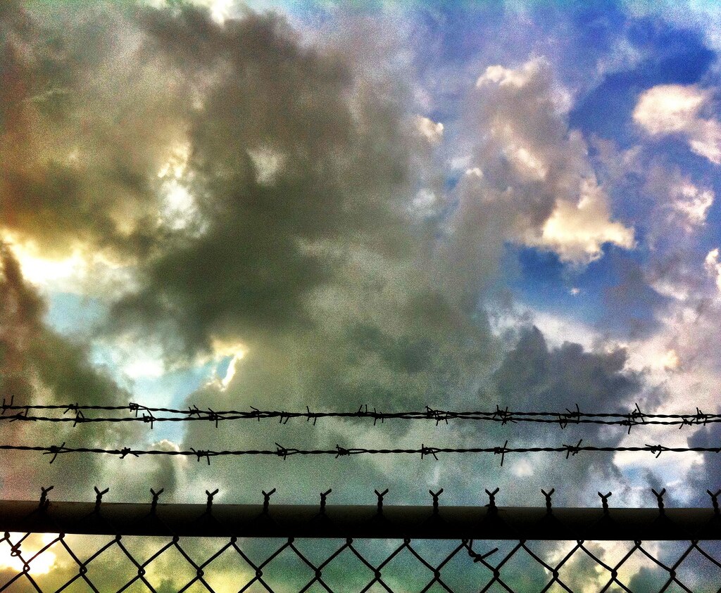 The Philosopher's Zone with David Rutledge - ABC listen