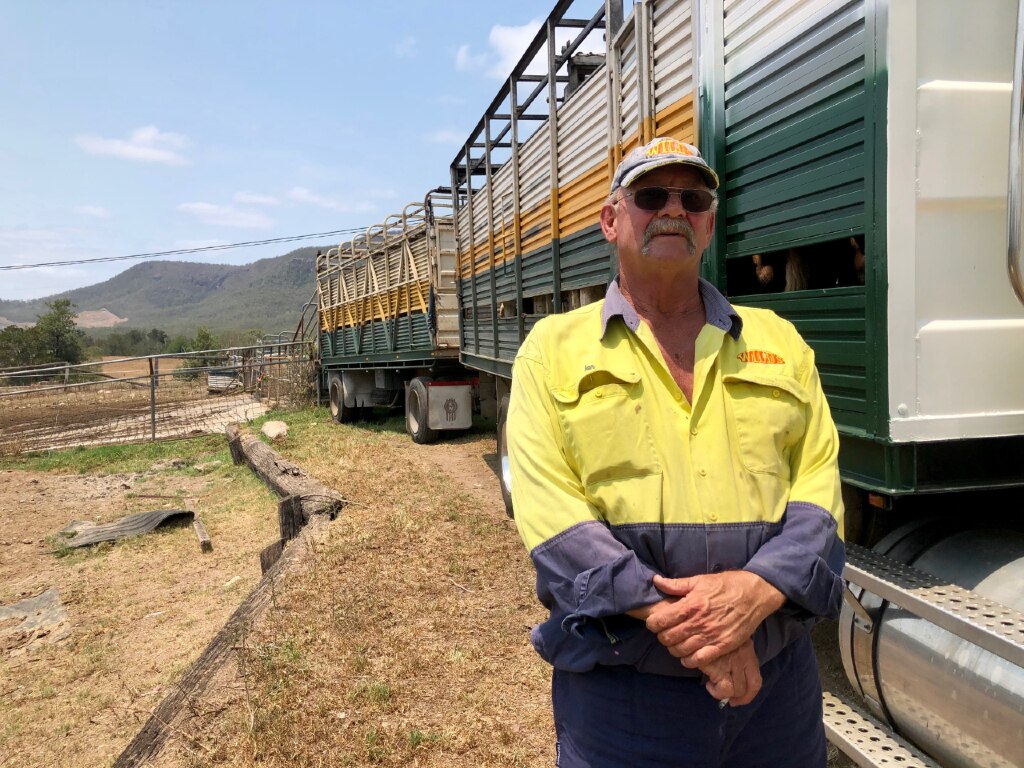 Too much sun on the Sunshine Coast causes heartbreak in the hinterland ...