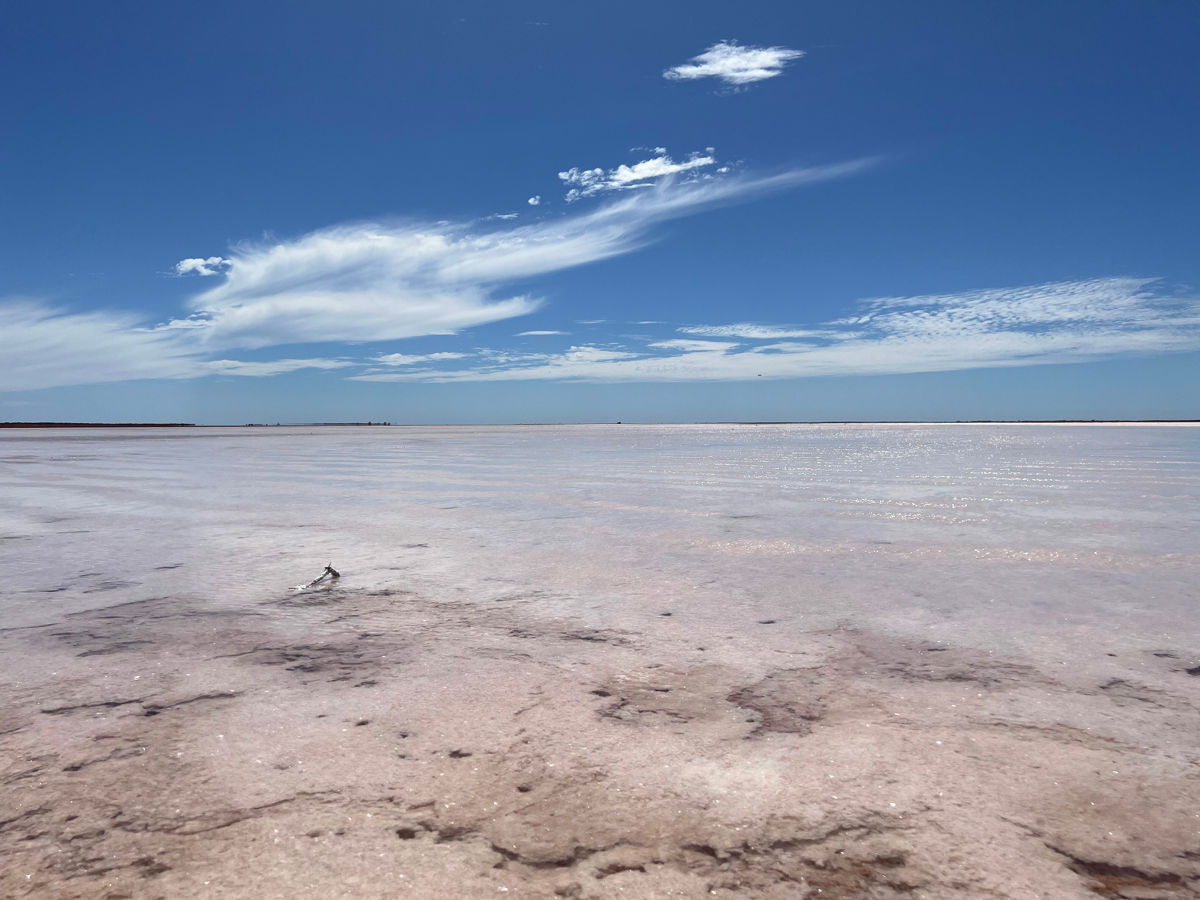 K+S Salt Australia scraps Exmouth Gulf solar salt project plans - ABC News