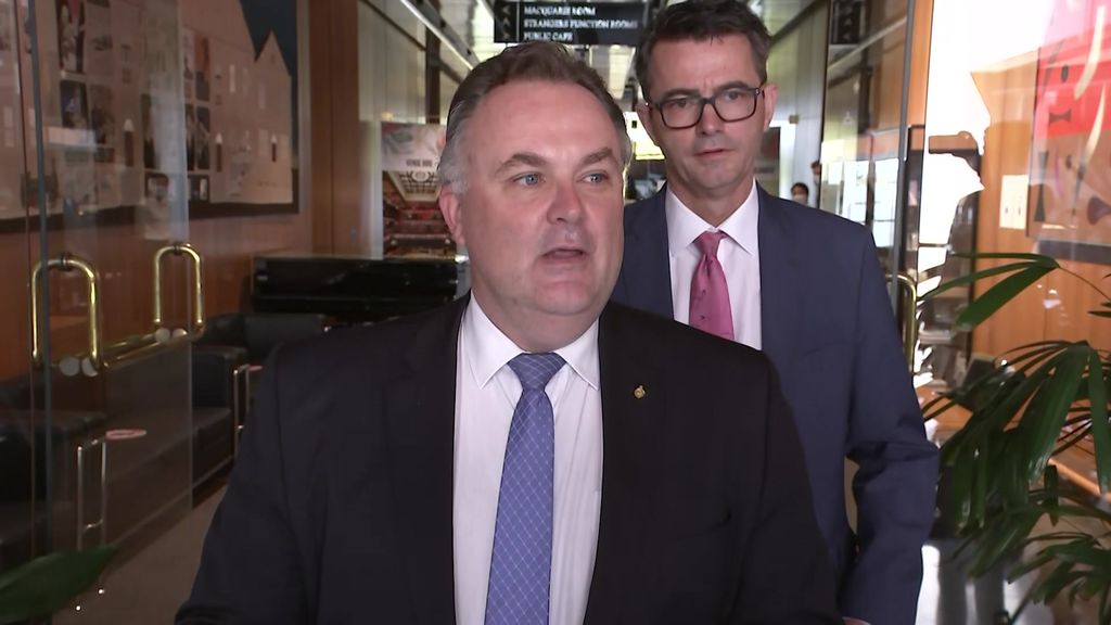 Whip Adam Crouch announces Dominic Perrettot will be next Premier of ...